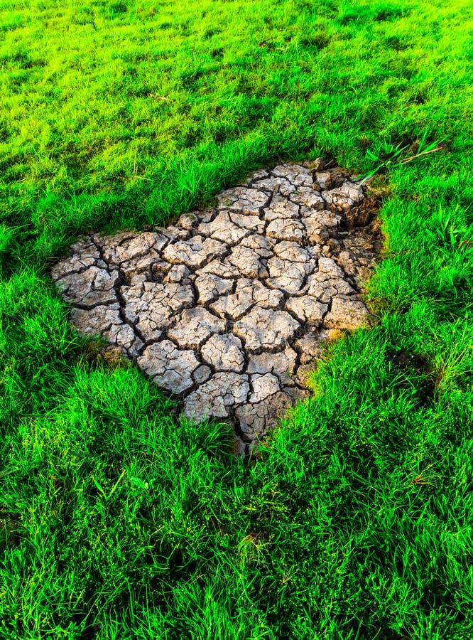 The Cracked Earth Ground in the Field Stock Photo - Image of global ...