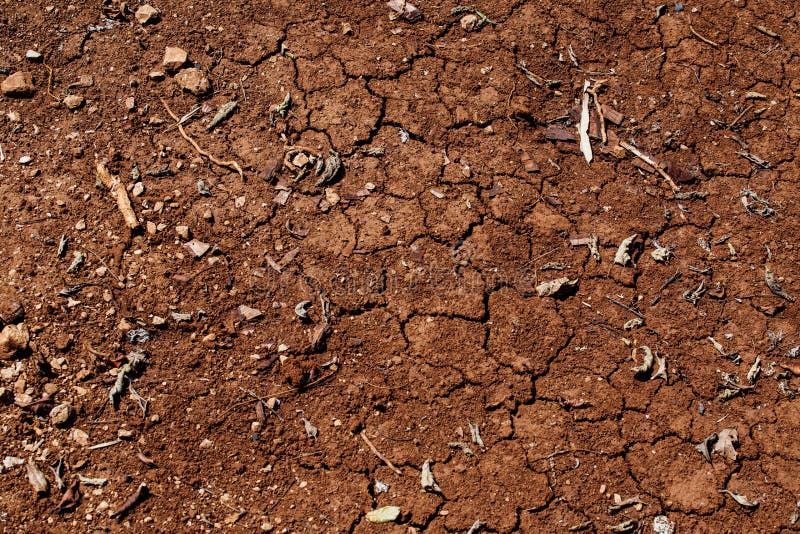 Cracked Earth with Heat and Scorching Sun Stock Image - Image of ...