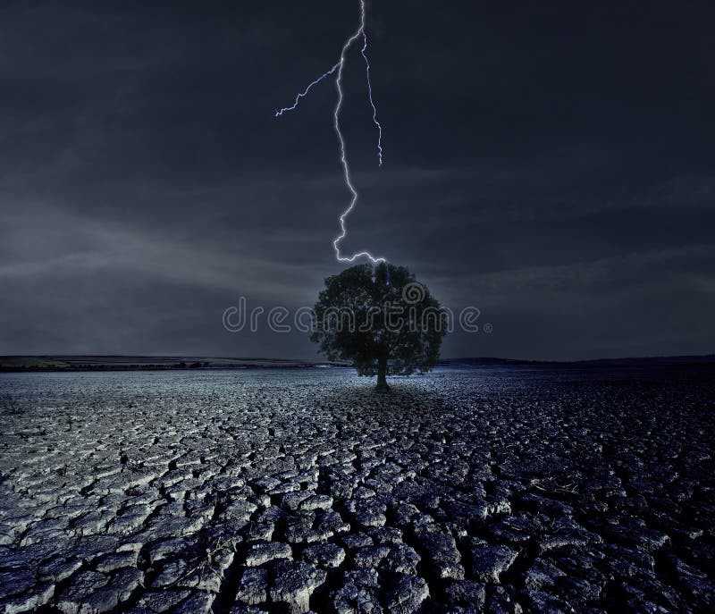 Lightning and the Tree stock photo. Image of cloud, concept - 11811976