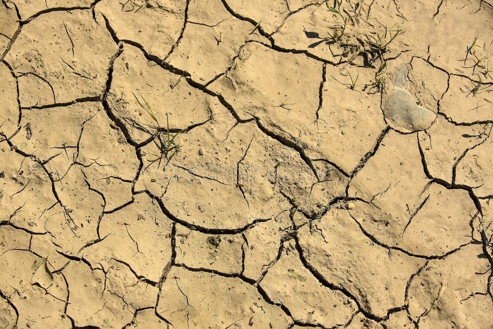 Cracked earth stock photo. Image of close, ground, natural - 40723452