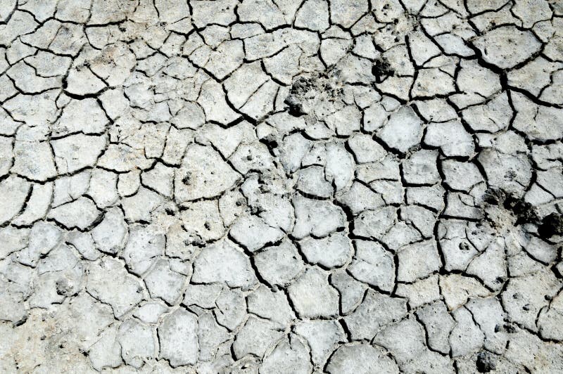 Cracked Earth. Saline, Salt-marsh. Texture Stock Image - Image of land ...