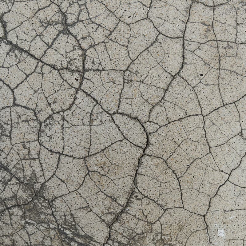 Cracked Earth Surface Exhibiting a Mosaic of Irregular Pattern ...