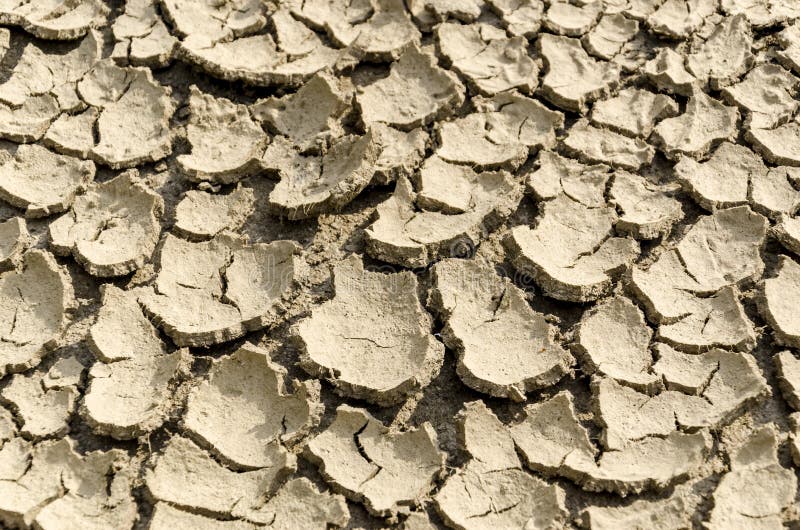 Cracked earth texture stock image. Image of lifeless - 30755329