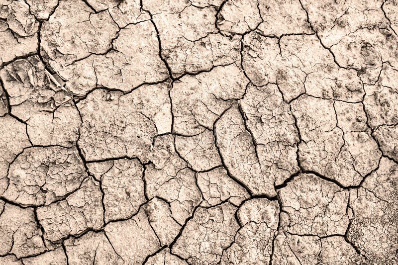 Cracked Earth. Texture of Cracks in the Dry Earth Stock Image - Image ...