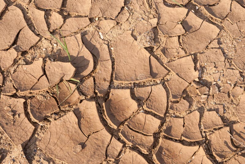 Cracked earth texture stock image. Image of ecology, broken - 32110567