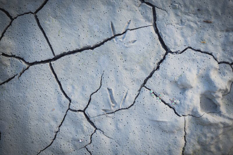 Map Fissure Stock Photos - Free & Royalty-Free Stock Photos from Dreamstime