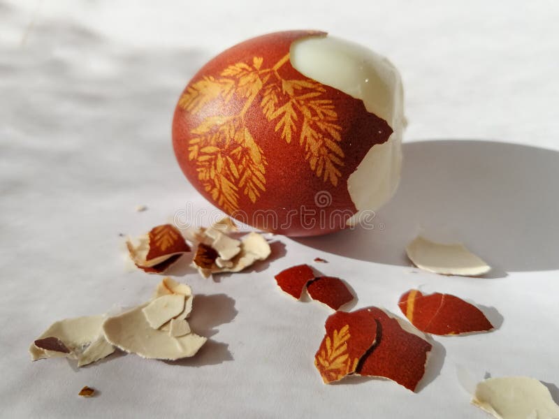Cracked Easter Egg Isolated on the White Stock Image - Image of boiled ...