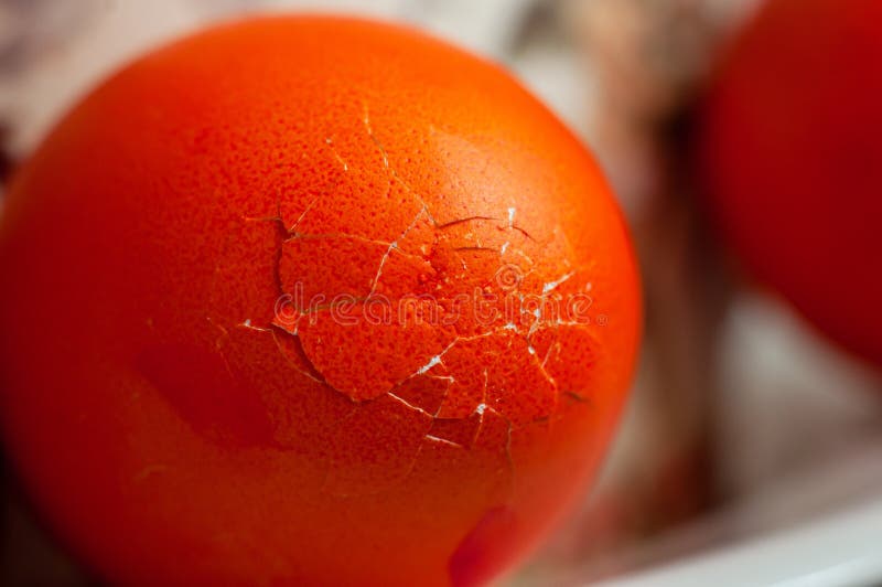 Cracked Easter Egg of Orange Color after the Traditional Egg Battle ...