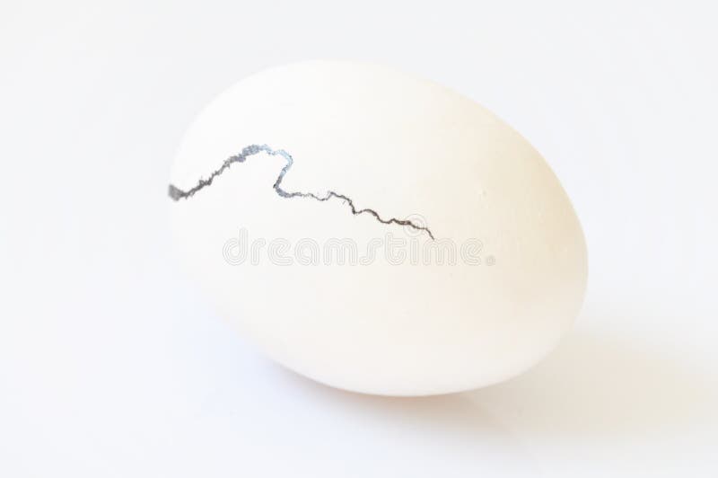 Cracked egg stock image. Image of broken, surpise, natural - 19077613