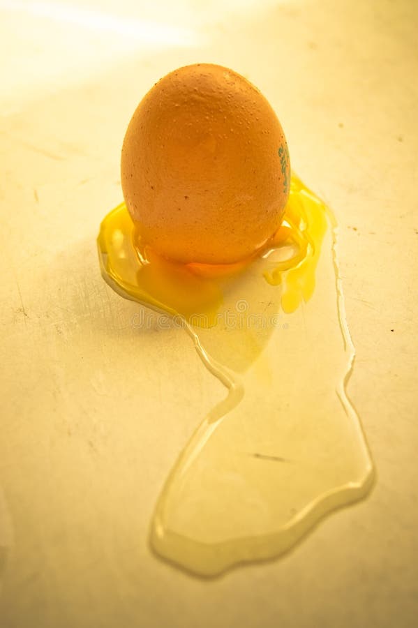 Cracked egg stock image. Image of fragile, reflect, healthy - 3617567