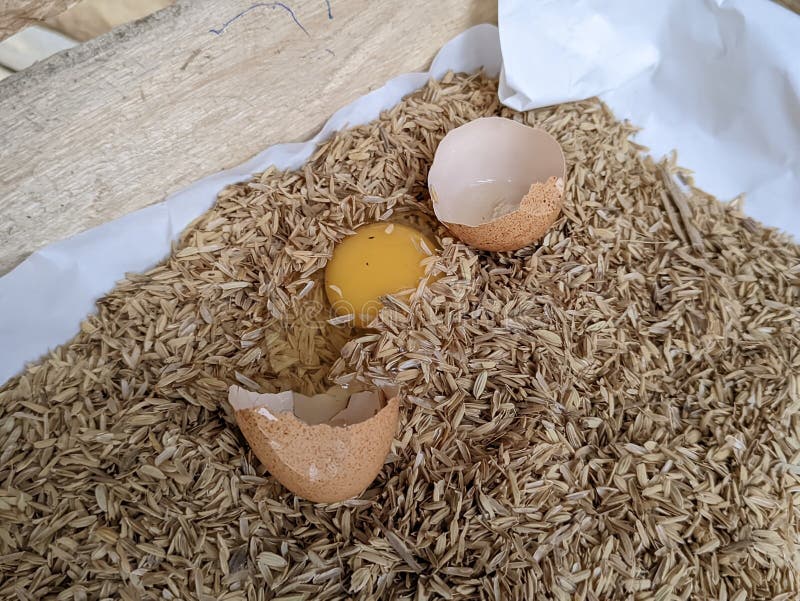 Cracked Egg on Rice Husks stock photo. Image of freshness - 352058732