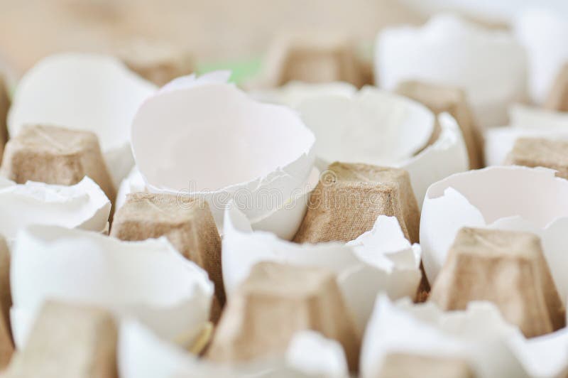 Cracked Egg Shells in a Carton Container. Close Up Stock Photo - Image ...