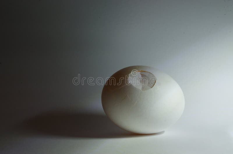 Cracked Egg on White Background with Shadows Stock Image - Image of ...