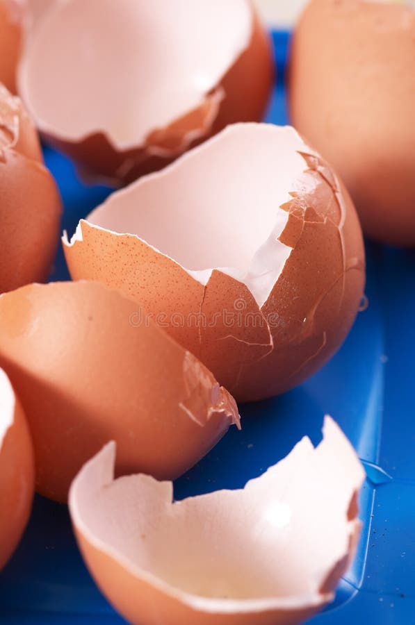 Cracked eggs shell stock photo. Image of protection, shell - 4234756