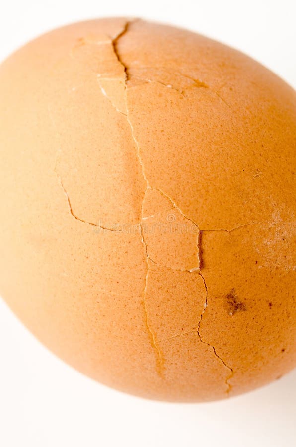 Cracked eggshell stock photo. Image of shell, fragility - 95321830