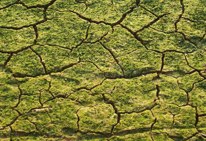 Cracked field stock image. Image of dirt, dryness, agriculture - 4611587