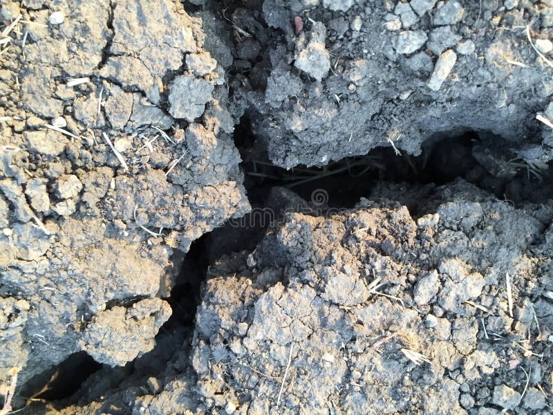 Cracked field stock photo. Image of break, earth, soild - 58452824