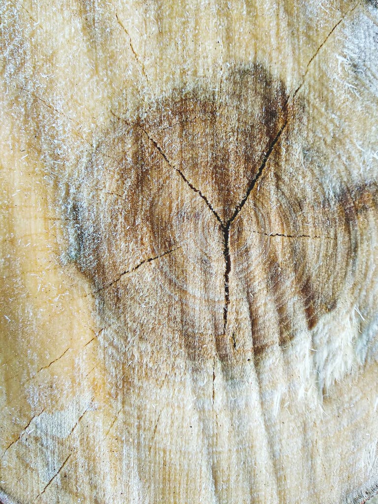 177 Transverse Cracked Roads Stock Photos - Free & Royalty-Free Stock ...