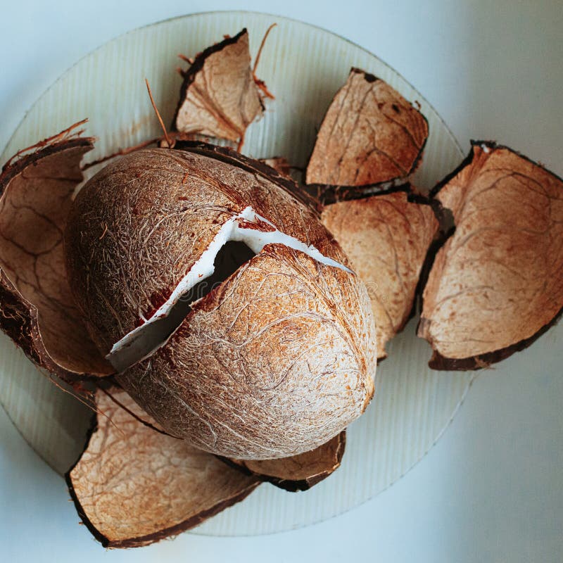 Fresh Cracked Coconut Top View Stock Photo - Image of gourmet, fibre ...