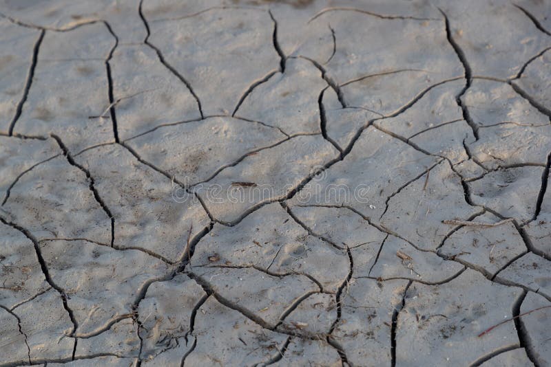 Cracked Gray and Dry Earth Texture during the Daytime Stock Photo ...