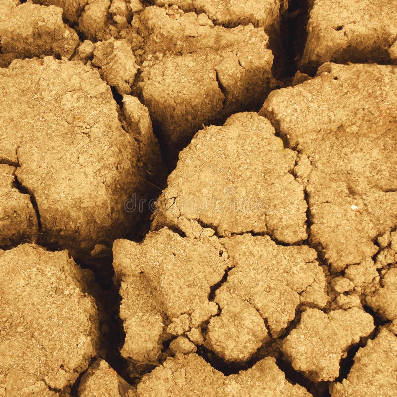 Cracked ground stock photo. Image of dirt, area, arid - 10638146