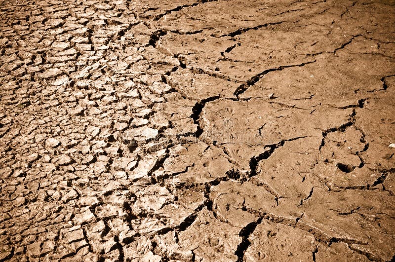 Cracked ground stock photo. Image of unique, special - 16782250