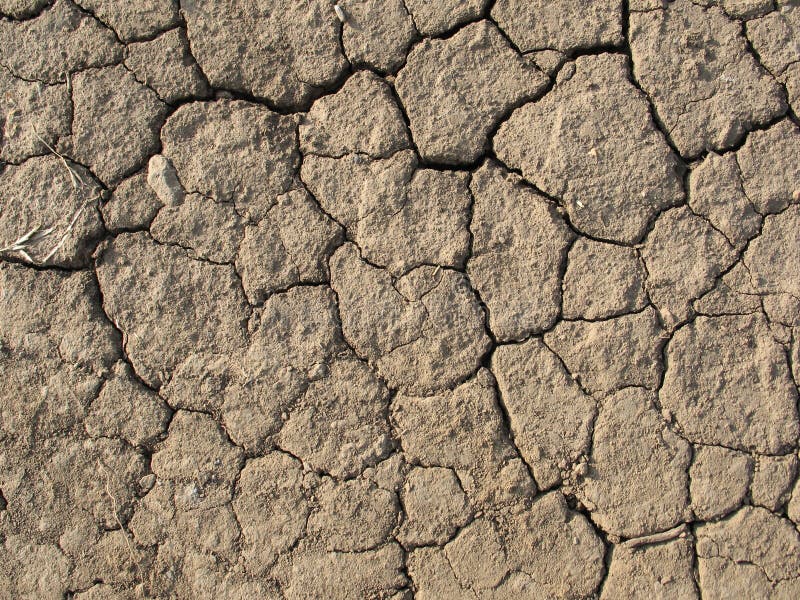 Cracked Ground Picture. Image: 5748889