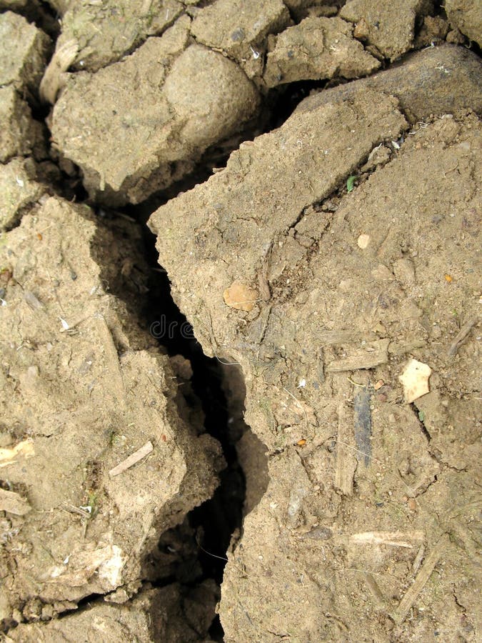 Cracked ground stock photo. Image of dried, cracked, soil - 890258