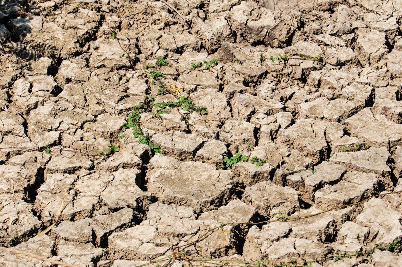 Cracked Ground Cause of Drought Effect Stock Image - Image of effect ...