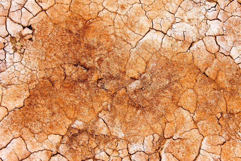 Salinated Soil Stock Photos - Free & Royalty-Free Stock Photos from ...