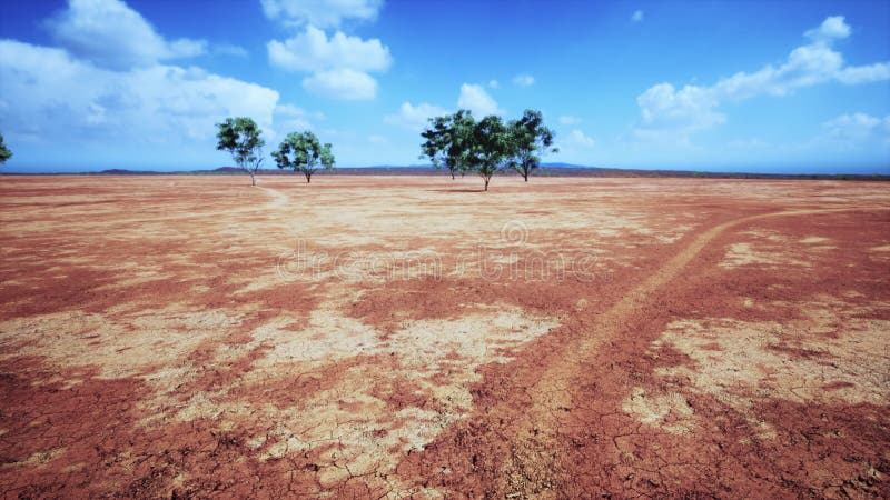 Cracked Ground Dry Land during the Dry Season Stock Illustration ...