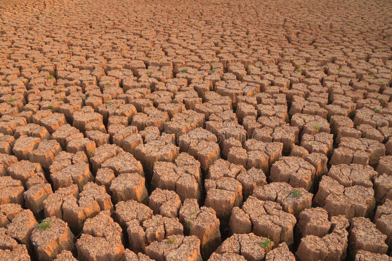 Cracked ground stock image. Image of close, earth, surface - 112316083