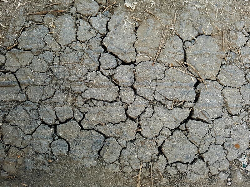 Cracked Ground Field Floor Texture Stock Image - Image of break ...