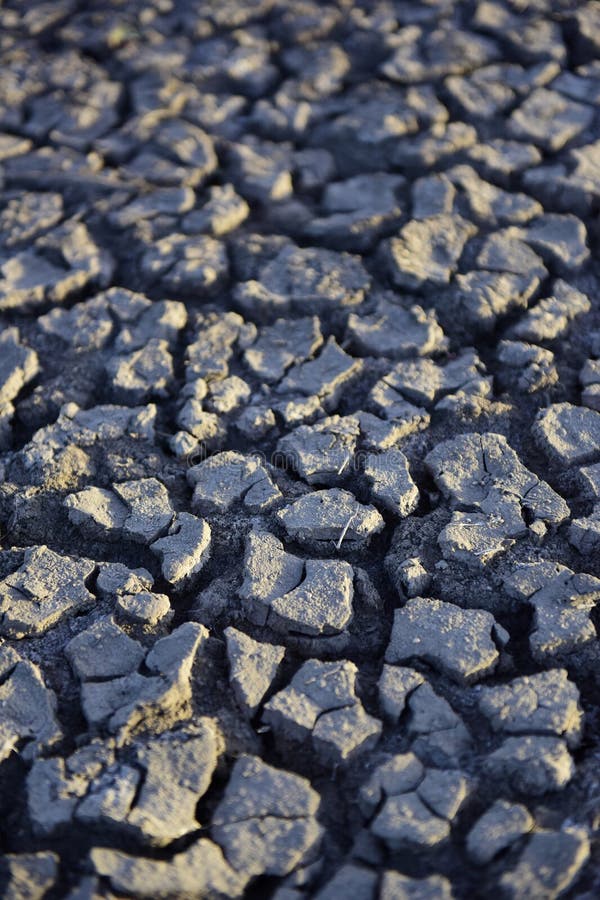 Cracked Ground Pattern in the Desert, La Pampa, Argentina Stock Photo ...