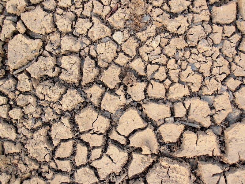 Cracked ground stock photo. Image of ground, shattered - 44497846