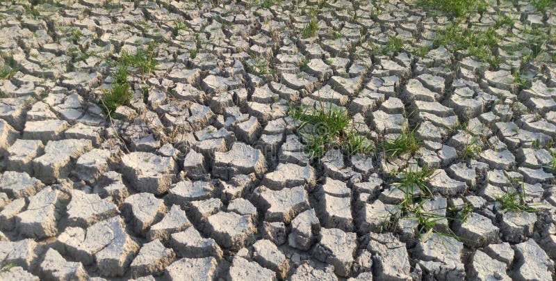 Cracked Ground with Some Grass during Dry Season Stock Image - Image of ...
