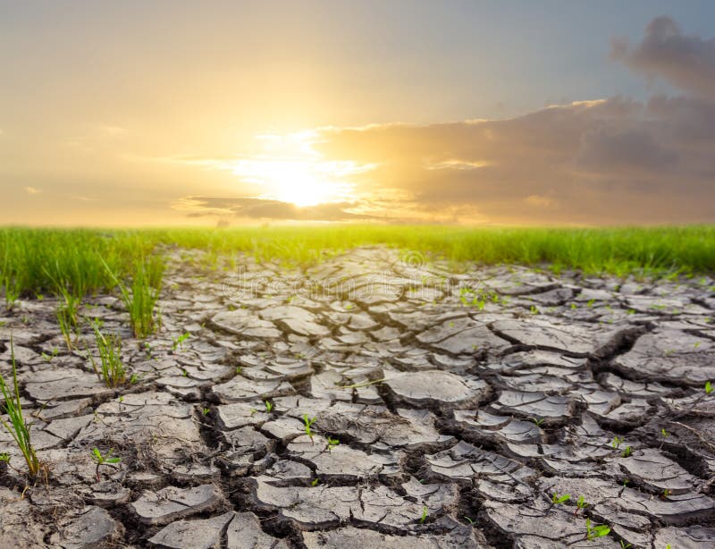Cracked Ground at the Sunset Stock Image - Image of outdoor, sunlight ...