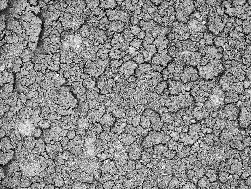 Cracked Ground Texture Background. Dried Earth with Clay and Sand Stock ...