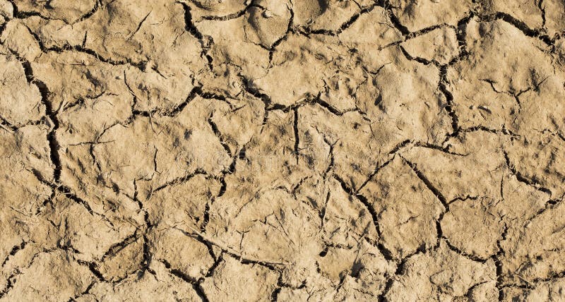 Cracked land texture stock image. Image of close, dirt - 48249363