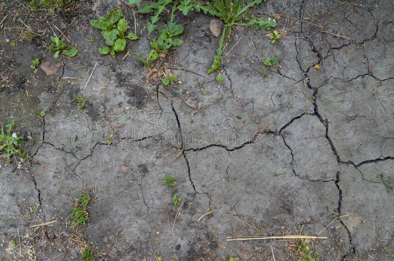Cracked Ground Texture with Grass Pieces Stock Image - Image of climate ...