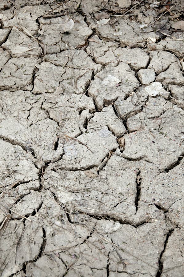 Cracked ground vertical stock image. Image of earth, weeds - 20573351