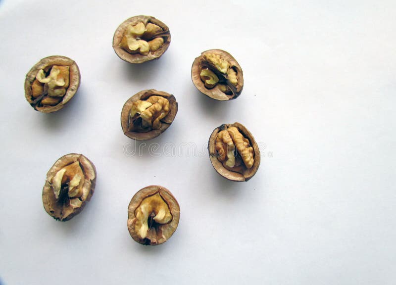 Halfnuts Stock Photos - Free & Royalty-Free Stock Photos from Dreamstime