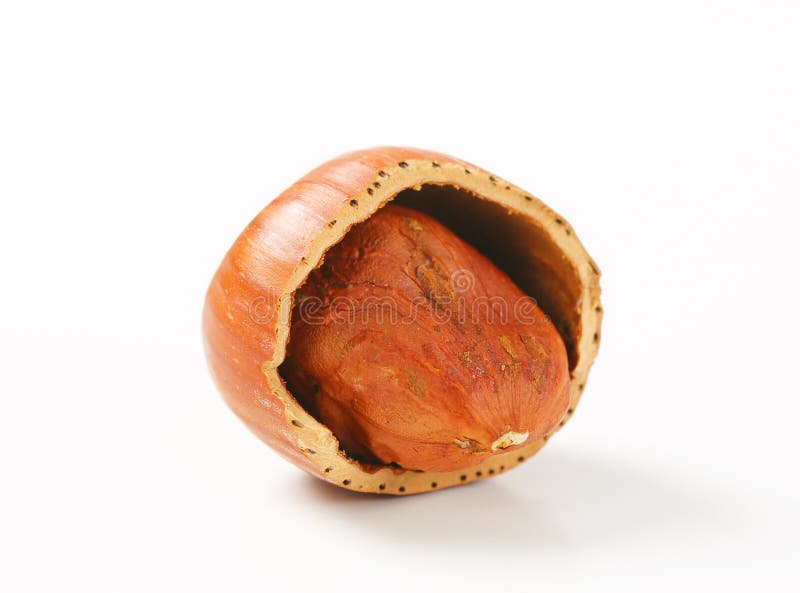 Cracked hazelnut stock photo. Image of food, closeup - 38157706