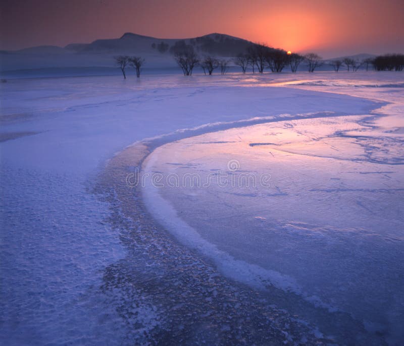 Cracked Ice on the Frozen River Stock Photo - Image of grass, branch ...