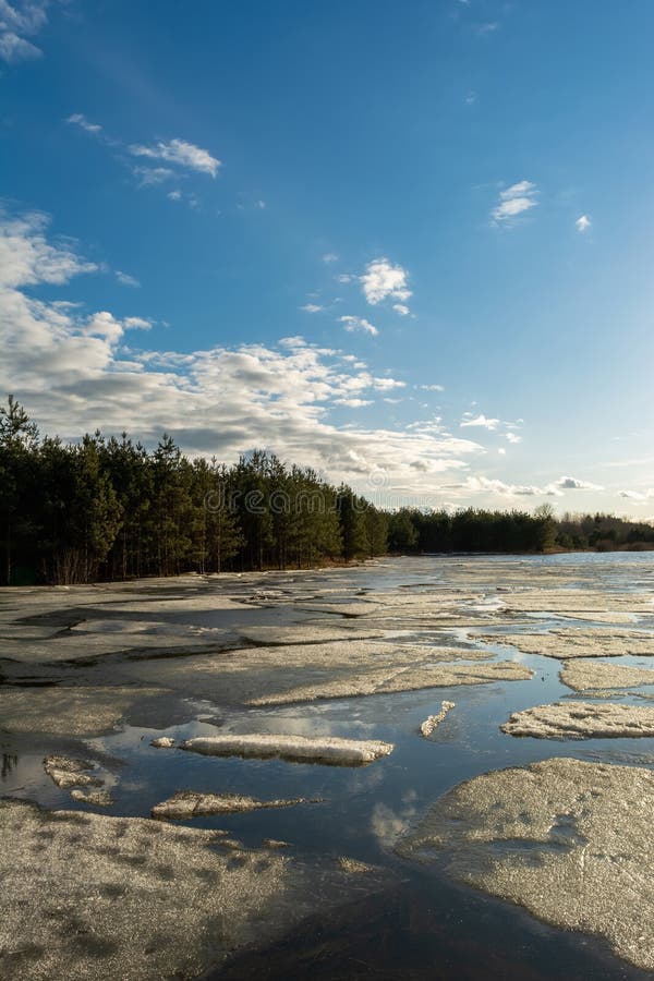 Cracked Ice Melts Under the Sun on a Forest Lake. Spring Landscape with ...