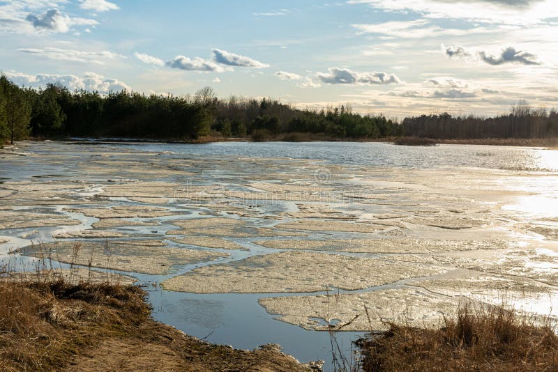 Cracked Ice Melts Under the Sun on a Forest Lake. Spring Landscape with ...