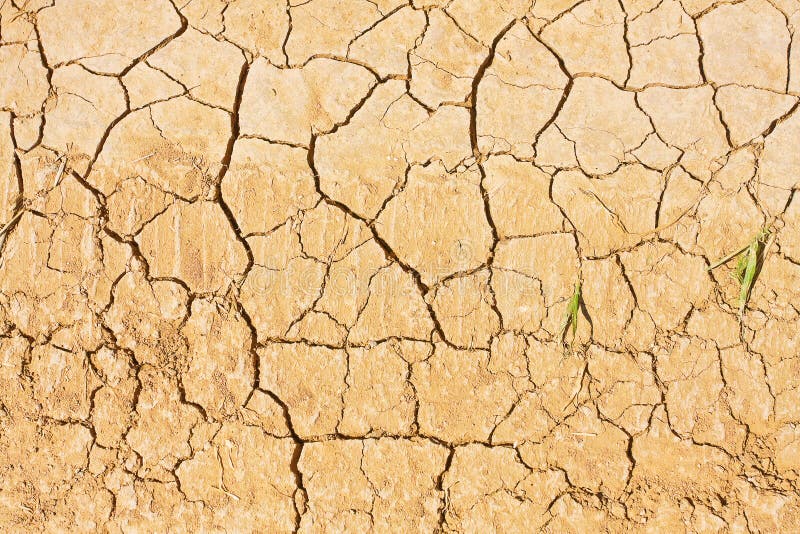 Cracked land stock photo. Image of clay, dirt, concept - 25191926