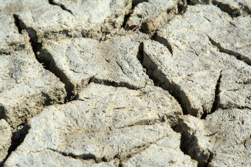 Cracked Land Picture. Image: 5120716