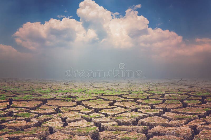 Cracked Ground with grass stock image. Image of cleft - 51519637