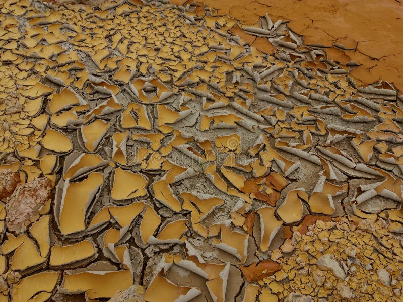 Cracked land stock photo. Image of tree, soil, site - 209403756